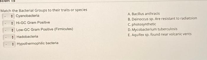 Solved Match the Bacterial Groups to their traits or species | Chegg.com