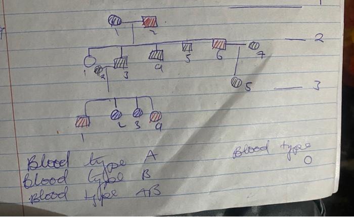 I-lunked Blocel type A blood Gype B Blood tyoe Blood | Chegg.com