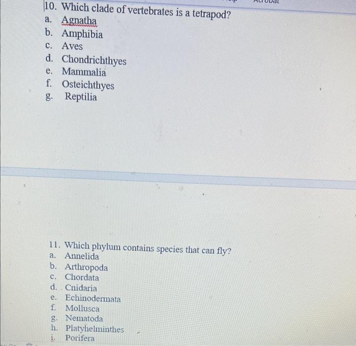 Solved 10. Which clade of vertebrates is a tetrapod? a. | Chegg.com