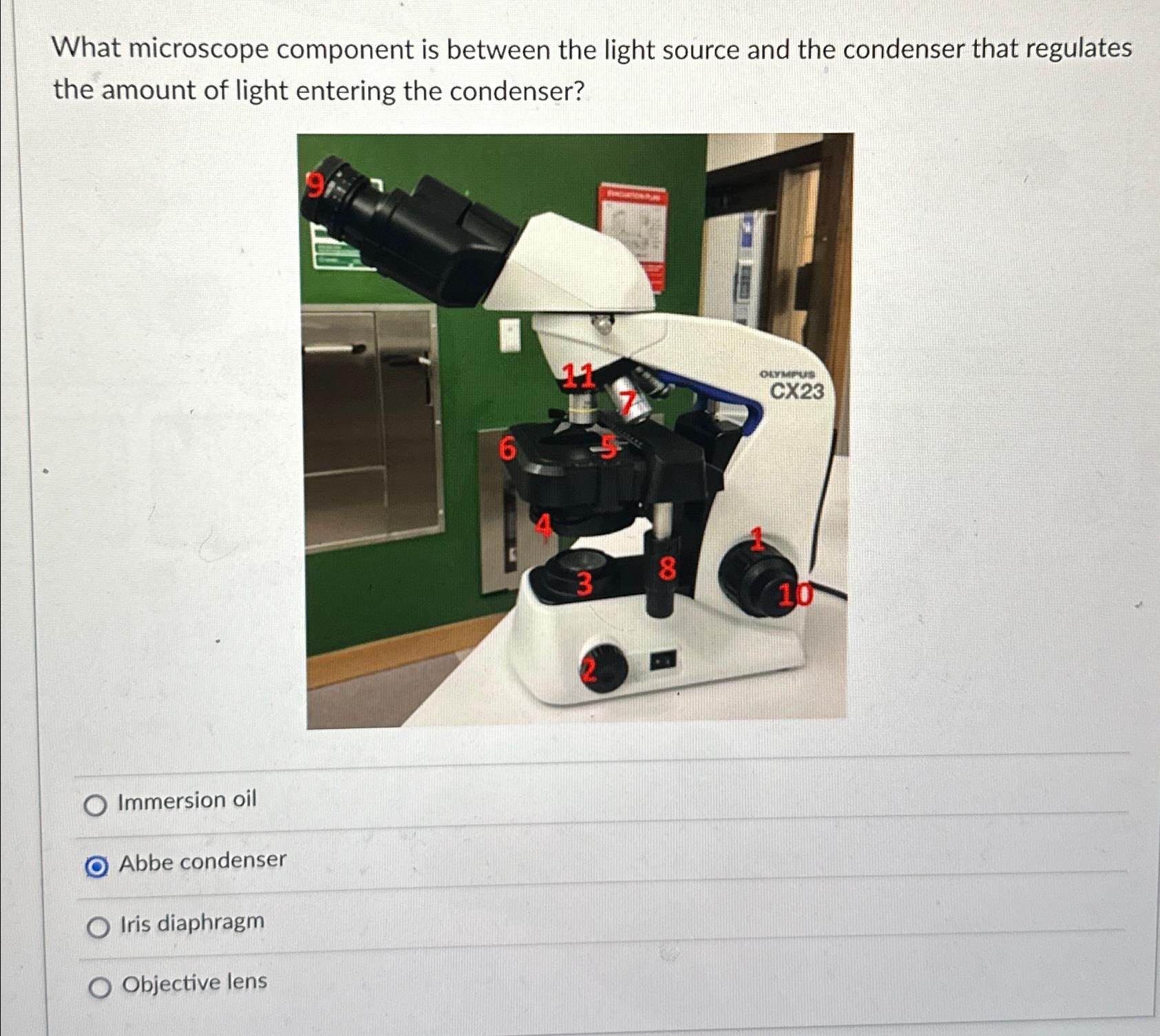 Solved What microscope component is between the light source | Chegg.com