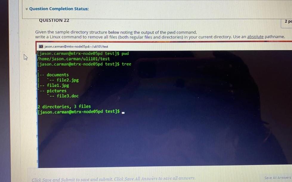 Solved QUESTION 21 Given the sample directory structure | Chegg.com