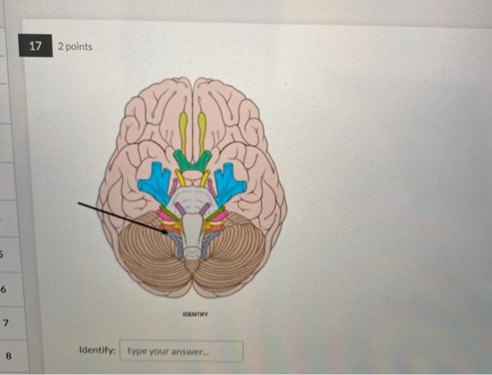 Solved 16 2 points 18 IDENTIFY (GROOVE) Identify: type your | Chegg.com