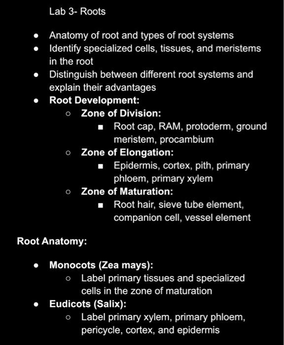 Solved Lab 4 - shoots - Anatomy of a Shoot and | Chegg.com