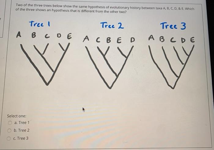 Solved Two of the three trees below show the same hypothesis | Chegg.com
