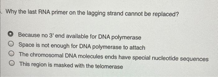 Solved Why The Last Rna Primer On The Lagging Strand Cannot 4442