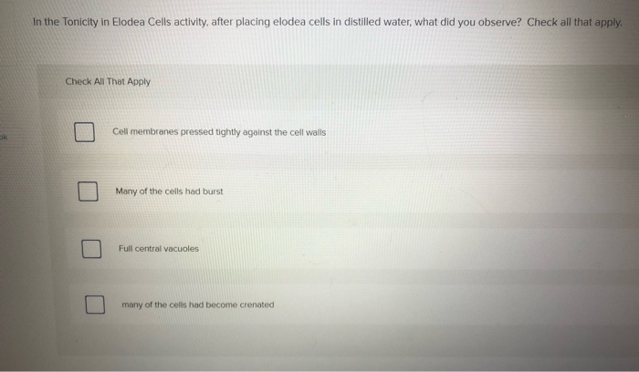Solved In the Tonicity in Elodea Cells activity, after | Chegg.com