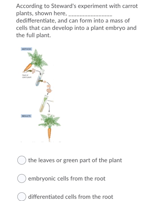 Solved According to Steward's experiment with carrot plants, | Chegg.com