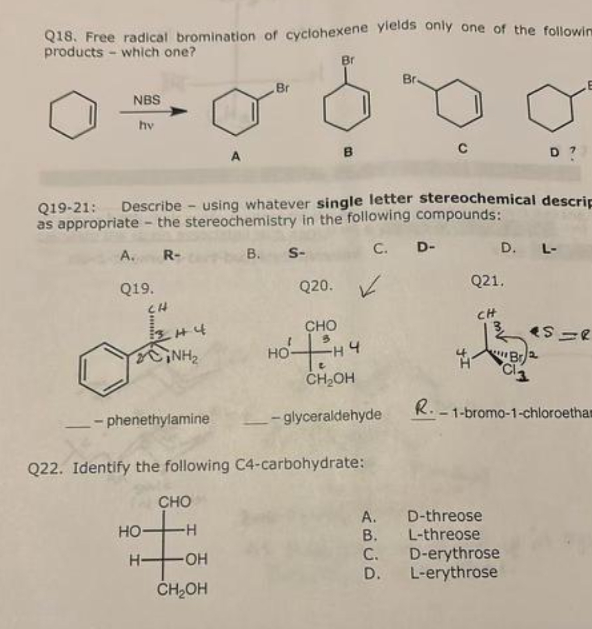Solved Q18. ﻿Free radical bromination of cyclohexene yields | Chegg.com
