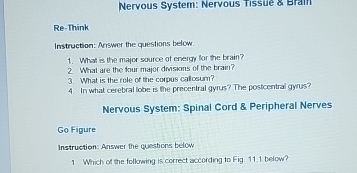 Solved Nervous System: NervousRe-ThinkInstruction: Answer | Chegg.com