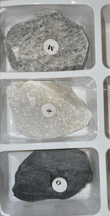 Solved EXERCISE 1 DATA SHEET Table 5. Metamorphic Rock | Chegg.com