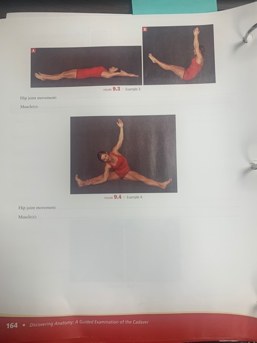 Solved FIGURE 9.3 Example 3 Hip joint movement Musclesi: | Chegg.com