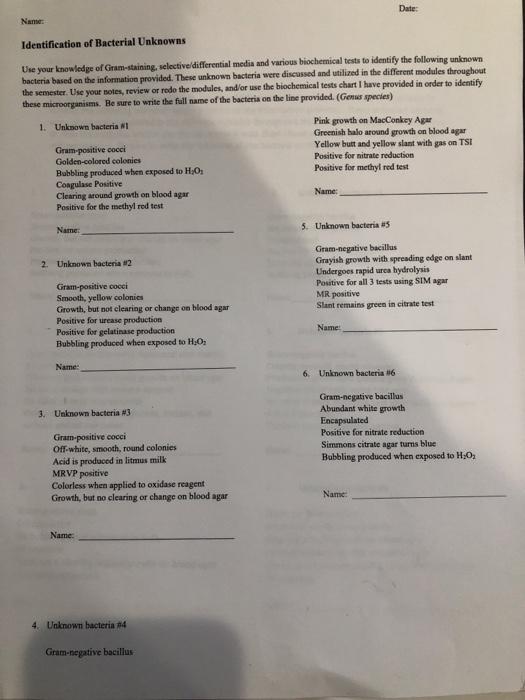 Solved Date: Name: Identification of Bacterial Unknowns Use | Chegg.com
