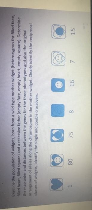 Solved Examine the population of widgets, born from a wild | Chegg.com