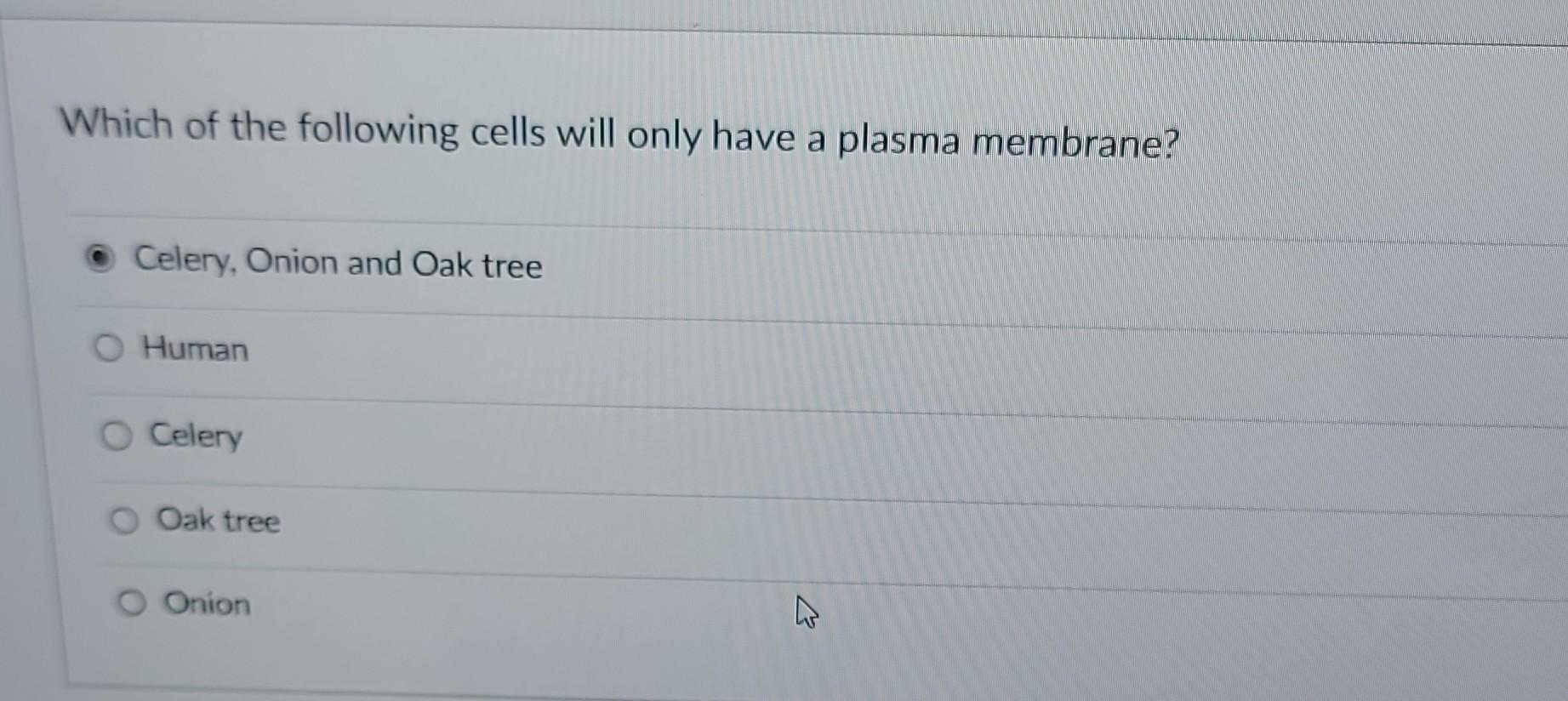 Solved Which of the following cells will only have a plasma | Chegg.com