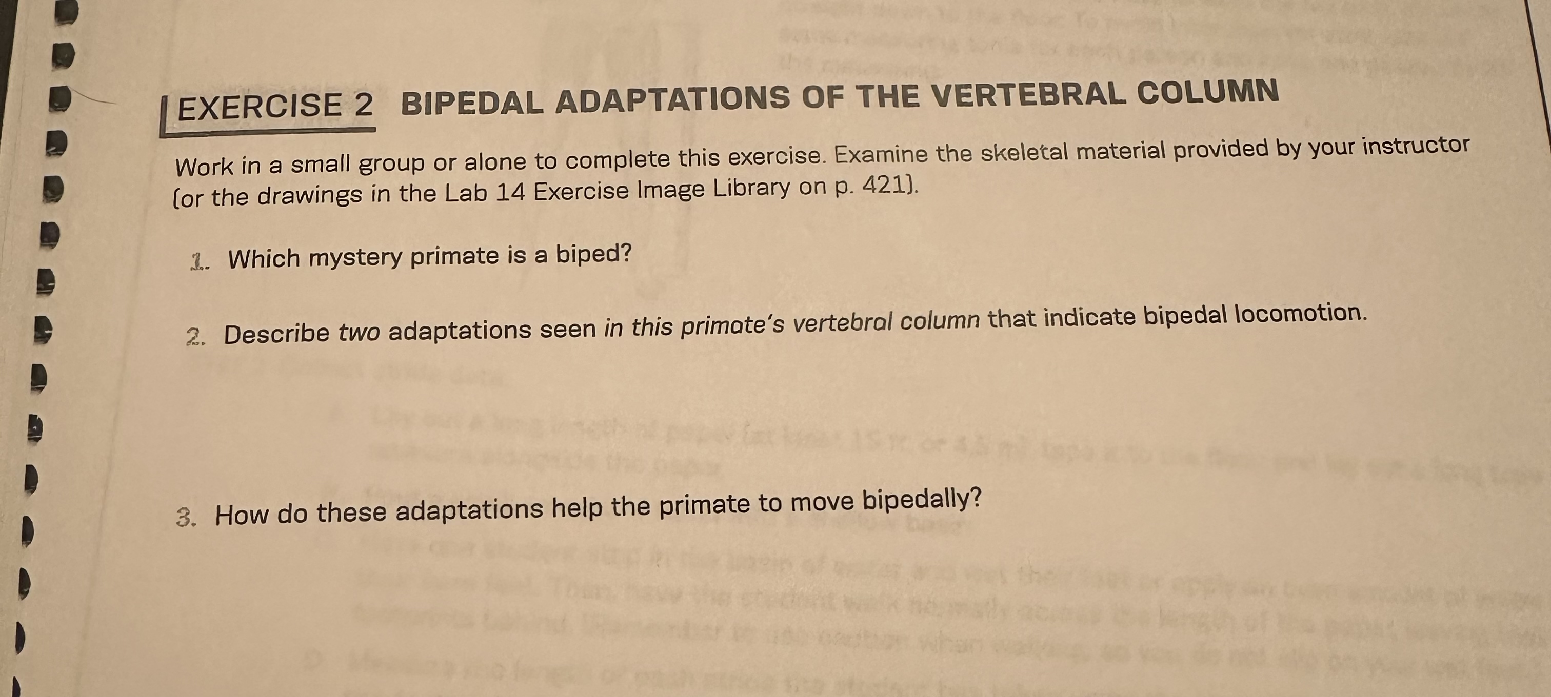 Solved EXERCISE 2 ﻿BIPEDAL ADAPTATIONS OF THE VERTEBRAL | Chegg.com