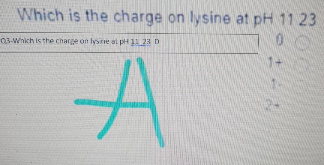 Solved Which is the charge on lysine at pH 11 23 0 Q3-Which | Chegg.com