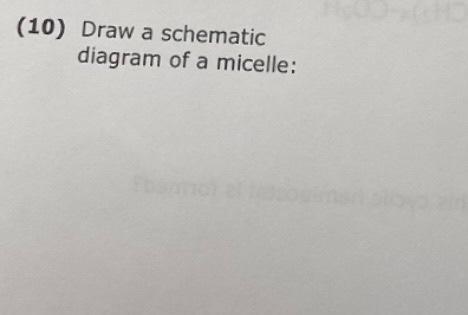 Solved (10) Draw a schematic diagram of a micelle: | Chegg.com