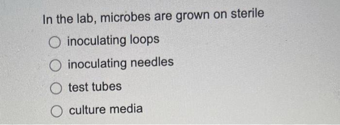 Solved In the lab, microbes are grown on sterile inoculating | Chegg.com