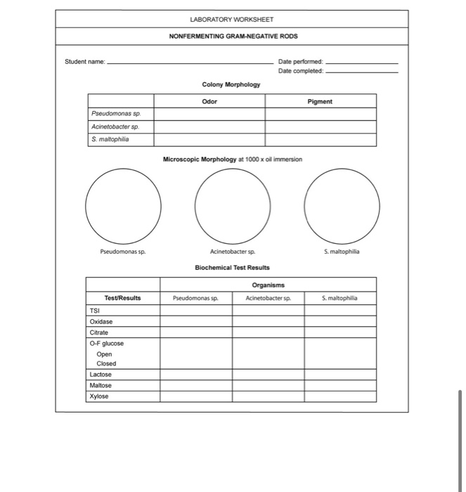 LABORATORY WORKSHEET NONFERMENTING GRAM-NEGATIVE RODS | Chegg.com