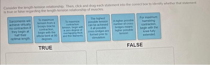 Solved Consider the length-tension relationship. Then, click | Chegg.com