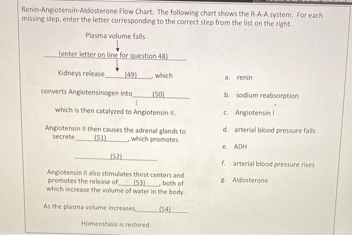 Solved Renin-Angiotensin-Aldosterone Flow Chart. The | Chegg.com