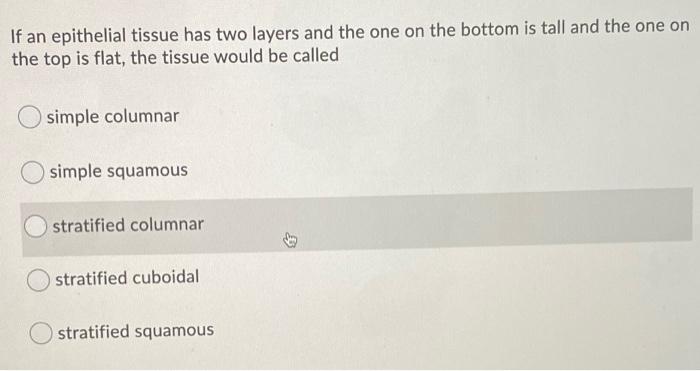 Solved If an epithelial tissue has two layers and the one on | Chegg.com
