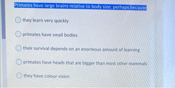 Solved Primates have large brains relative to body size; | Chegg.com
