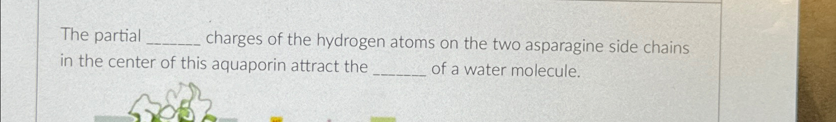 Solved The partial charges of the hydrogen atoms on the two | Chegg.com