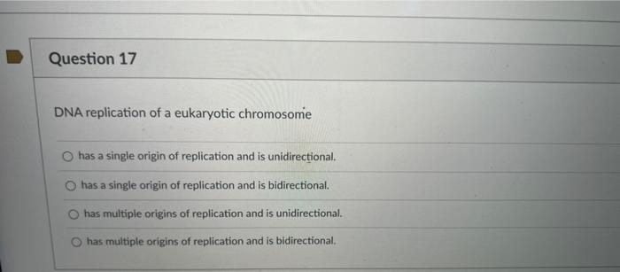 Solved DNA replication of a eukaryotic chromosome has a | Chegg.com