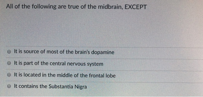 Solved All of the following are true of the midbrain, EXCEPT | Chegg.com