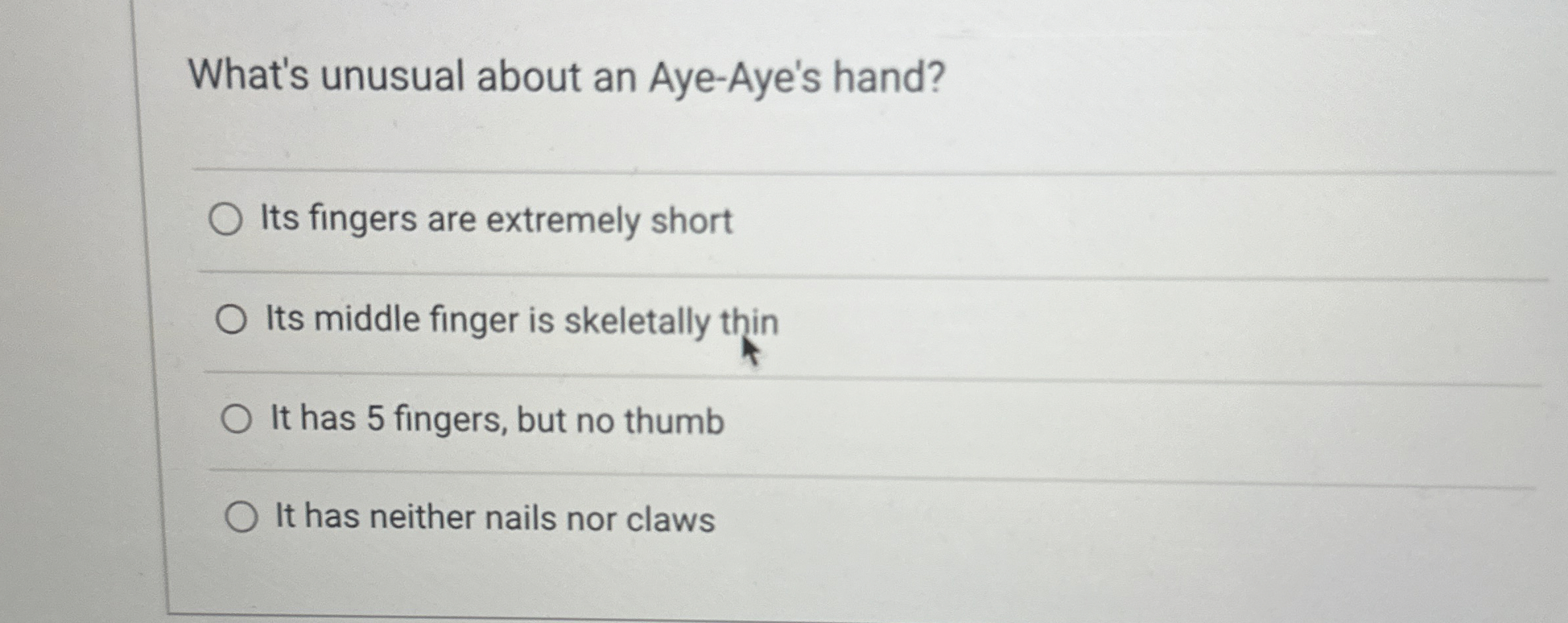 Solved What's unusual about an Aye-Aye's hand?Its fingers | Chegg.com