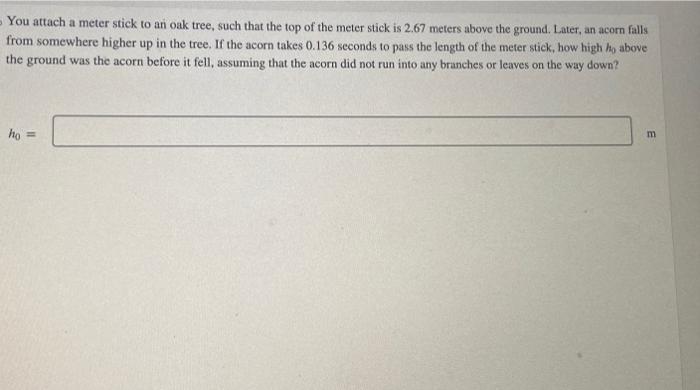 Solved You attach a meter stick to an oak tree, such that | Chegg.com