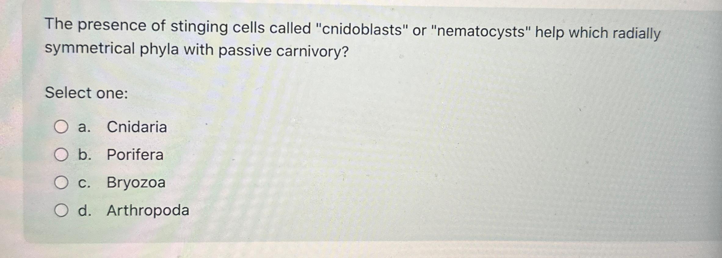 Solved The presence of stinging cells called "cnidoblasts" | Chegg.com