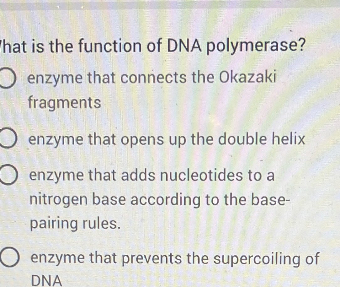 Solved hat is the function of DNA polymerase?enzyme that | Chegg.com