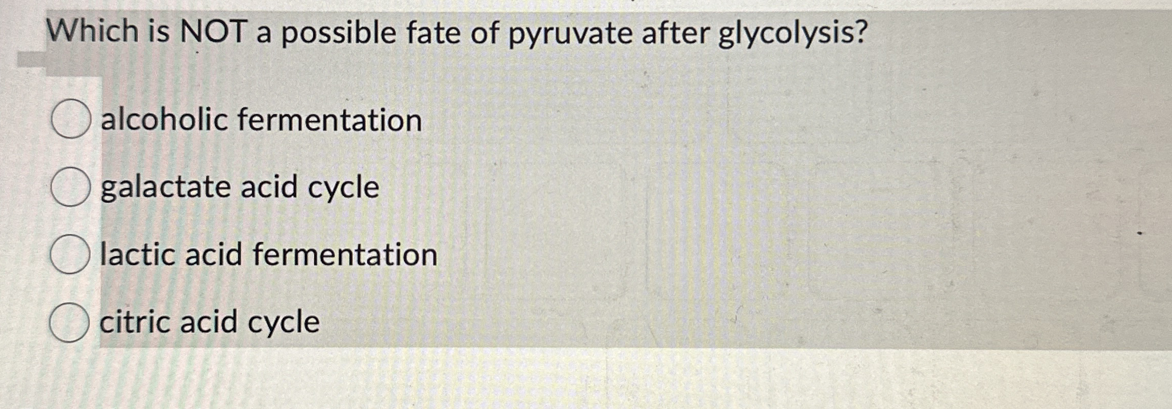 Solved Which is NOT a possible fate of pyruvate after | Chegg.com