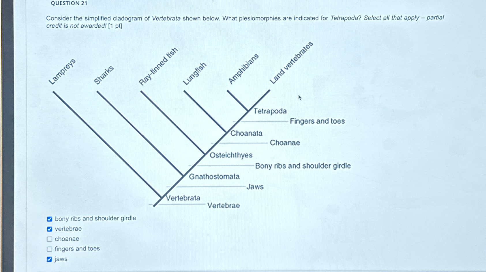Solved QUESTION 21Consider the simplified cladogram of | Chegg.com