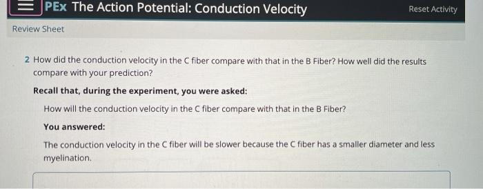 Solved Reset Activity PEx The Action Potential: Conduction | Chegg.com