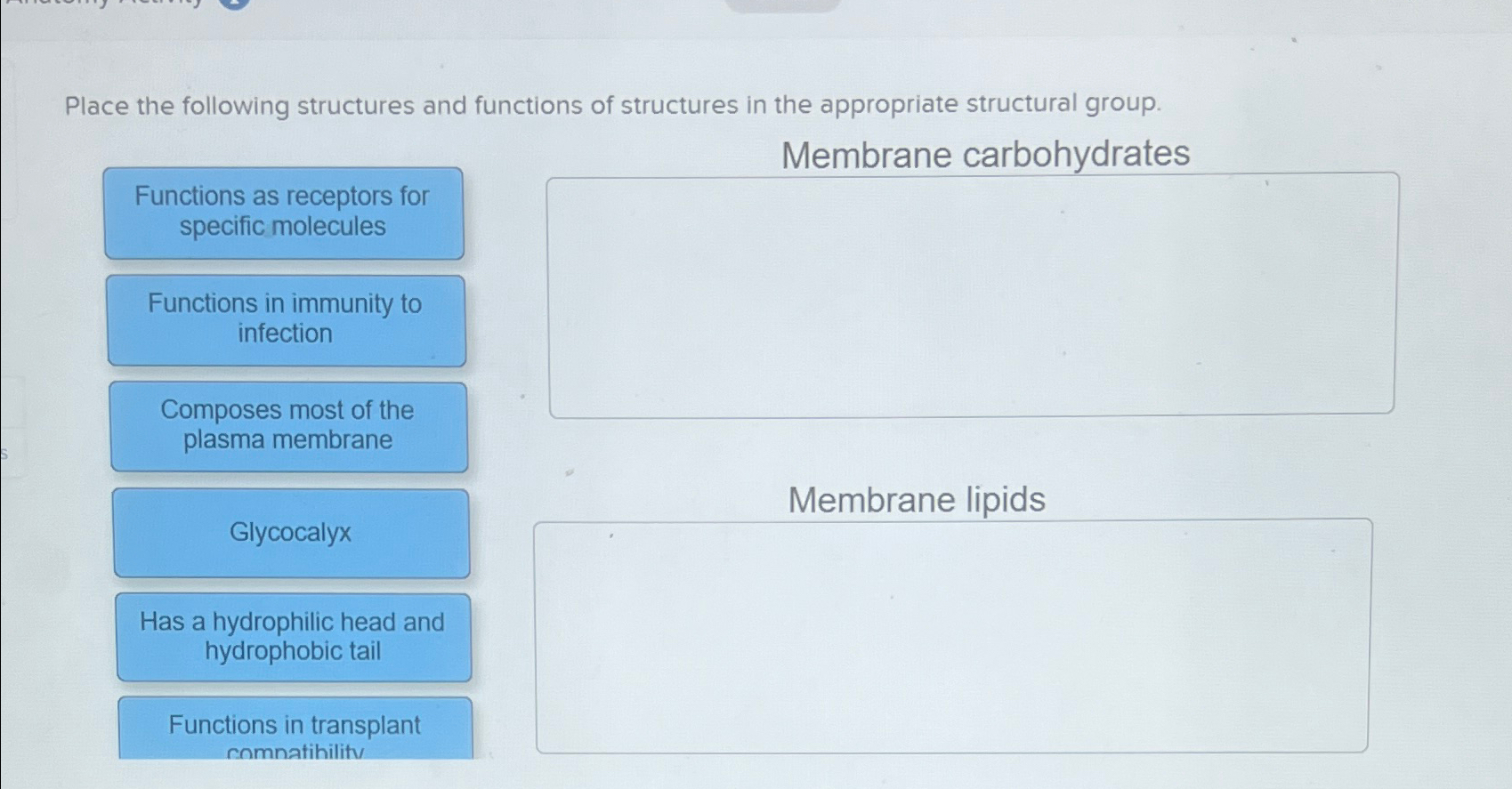 Solved Place the following structures and functions of | Chegg.com