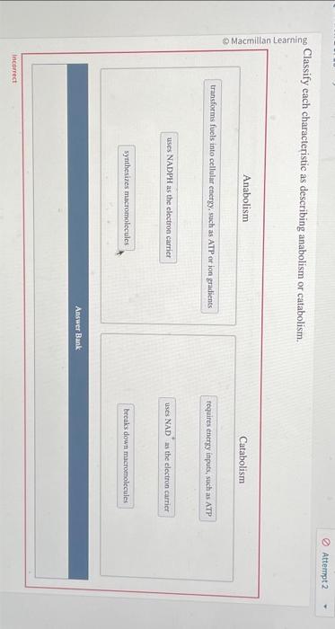 Solved Classify each characteristic as describing anabolism | Chegg.com