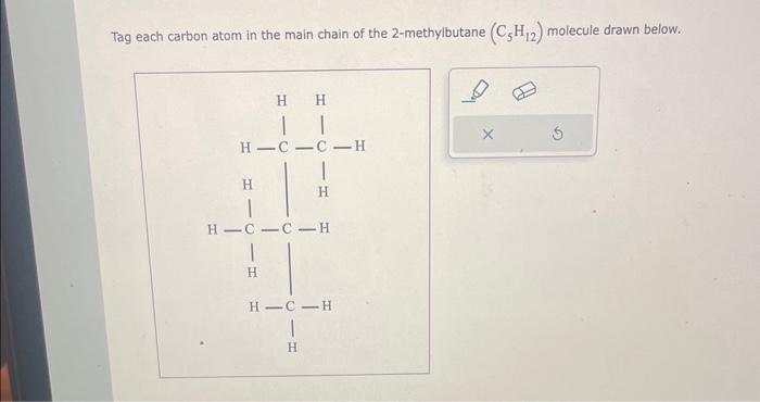 Solved Name these organic compounds:Tag each carbon atom in | Chegg.com