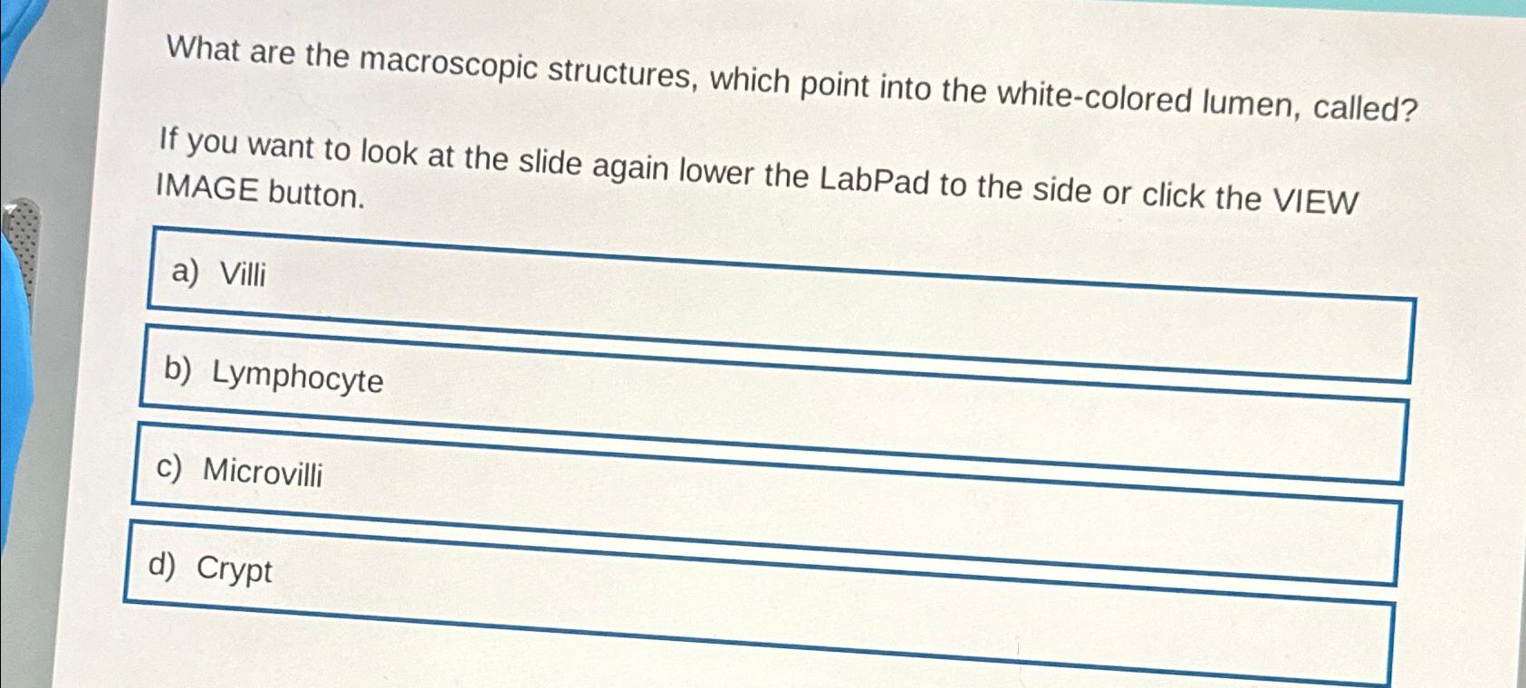 Solved What are the macroscopic structures, which point into | Chegg.com