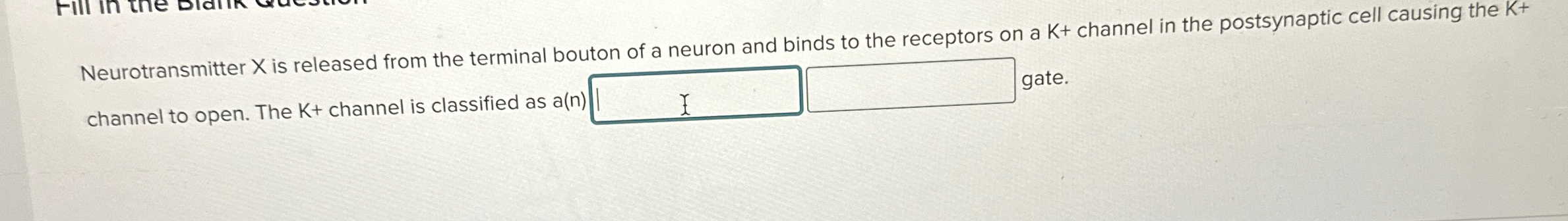 Solved Neurotransmitter x ﻿is released from the terminal | Chegg.com