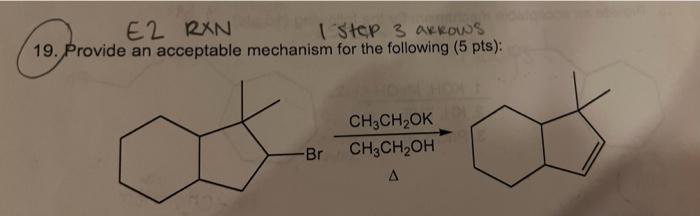 Solved E2 RXN I step 3 arrows 19. Provide an acceptable | Chegg.com