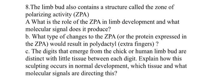 Solved 8. The limb bud also contains a structure called the | Chegg.com