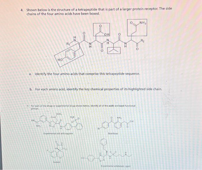 4. Shown below is the structure of a tetrapeptide | Chegg.com
