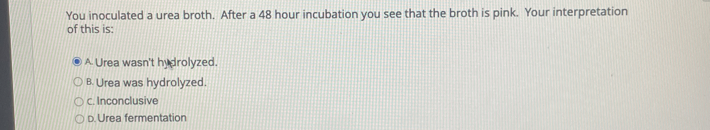 Solved You inoculated a urea broth. After a 48 ﻿hour | Chegg.com