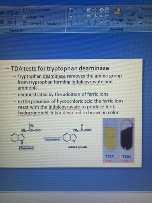 Exercise 8 Use Of The Api 20e System To Identify Gram