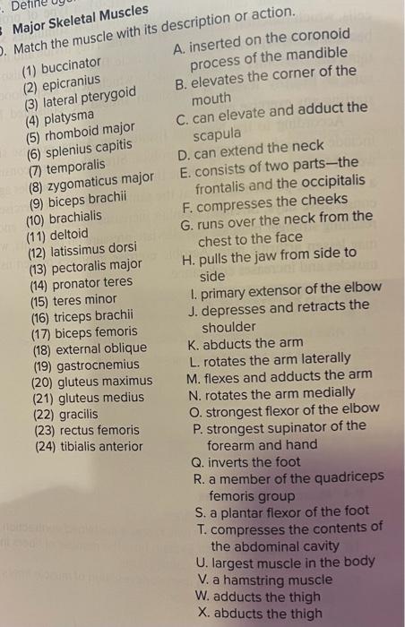 Solved Match the muscle with its description or action. | Chegg.com