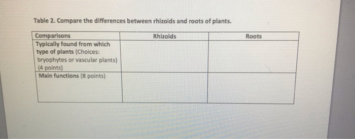 Solved Table 2. Compare the differences between rhizoids and | Chegg.com