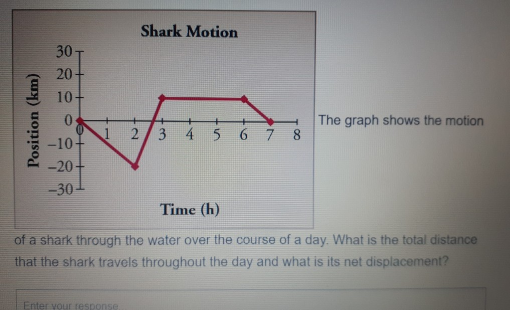 Solved Shark Motion 30 20 | 10- Position (km) 0 The graph | Chegg.com